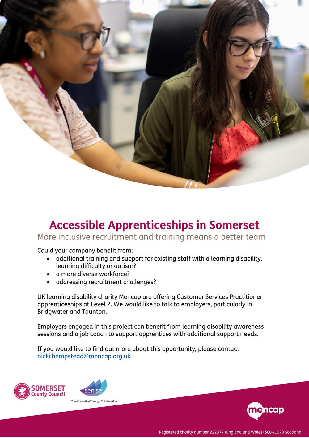 Accessible Apprenticeships in Somerset | Special Educational Needs ...